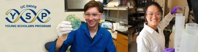 Top 20 Environmental Science Programs for High School Students ...