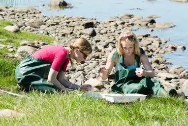 UC Berkeley Biology: Majors, Acceptance Rate, Requirements, and Career ...