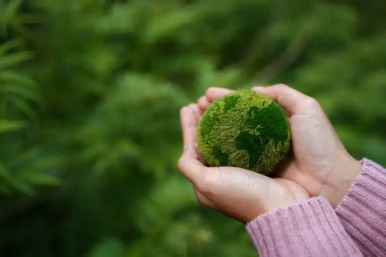 14 Environmental Studies Summer Programs for High School Students ...