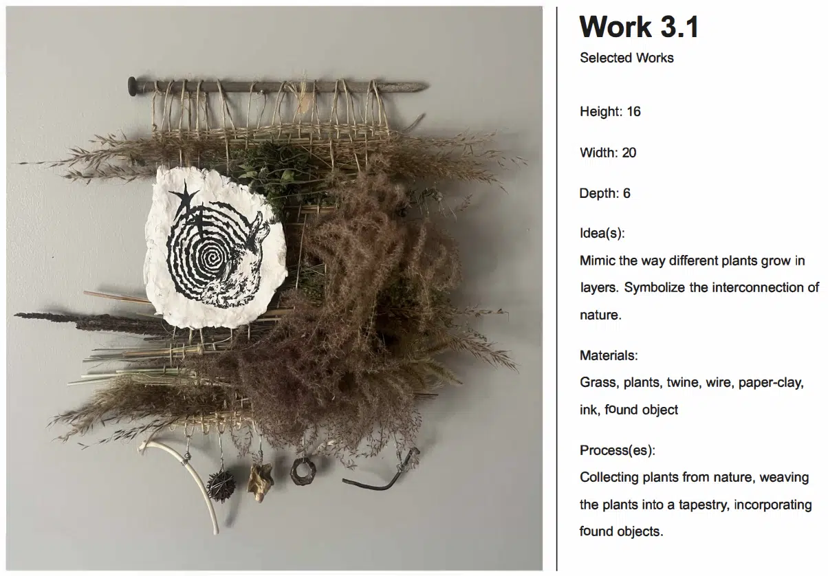 AP 3-D Art and Design Exam 2026: Study + Test Tips | AdmissionSight