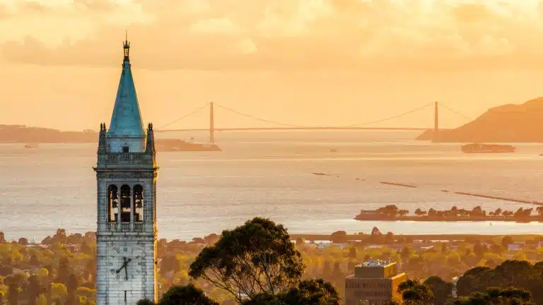 UC Berkeley Mascot: History + Fun Facts | AdmissionSight