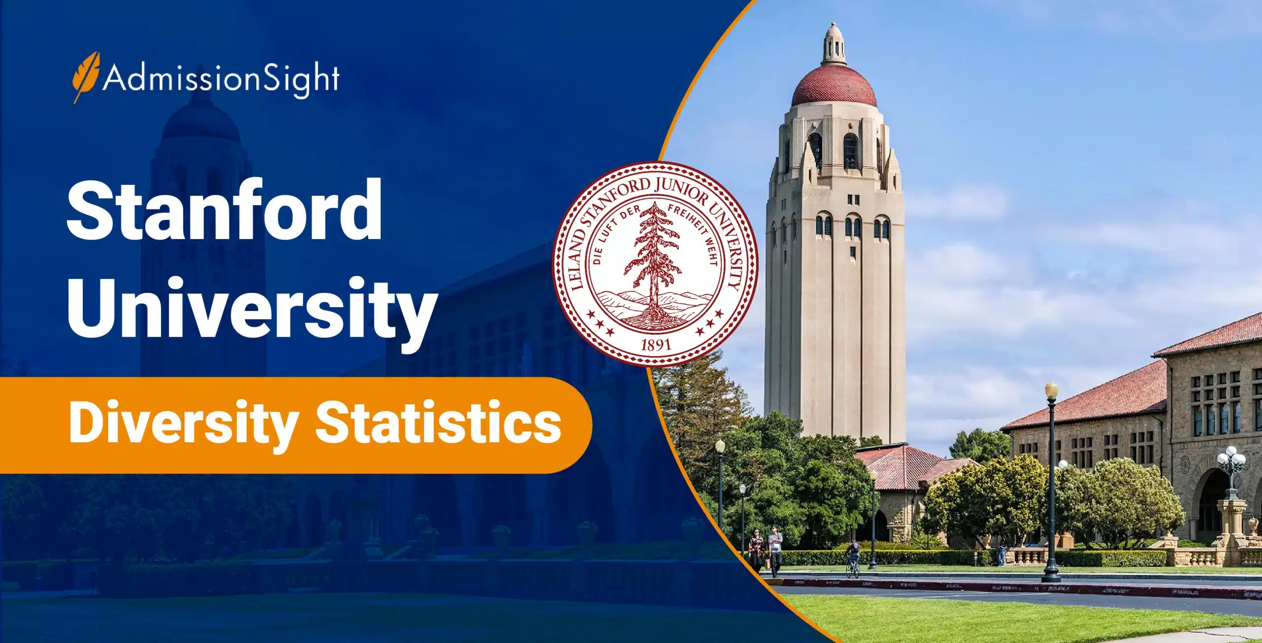 Stanford Diversity Statistics: An Overview | AdmissionSight