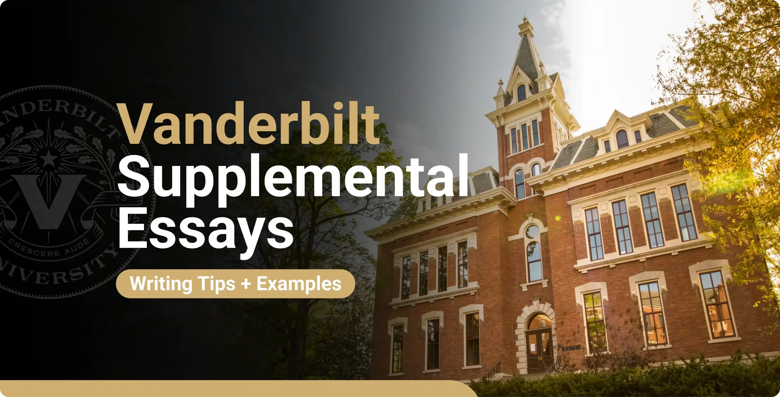 Vanderbilt Supplemental Essays 2025-2026: Writing Tips + Examples ...