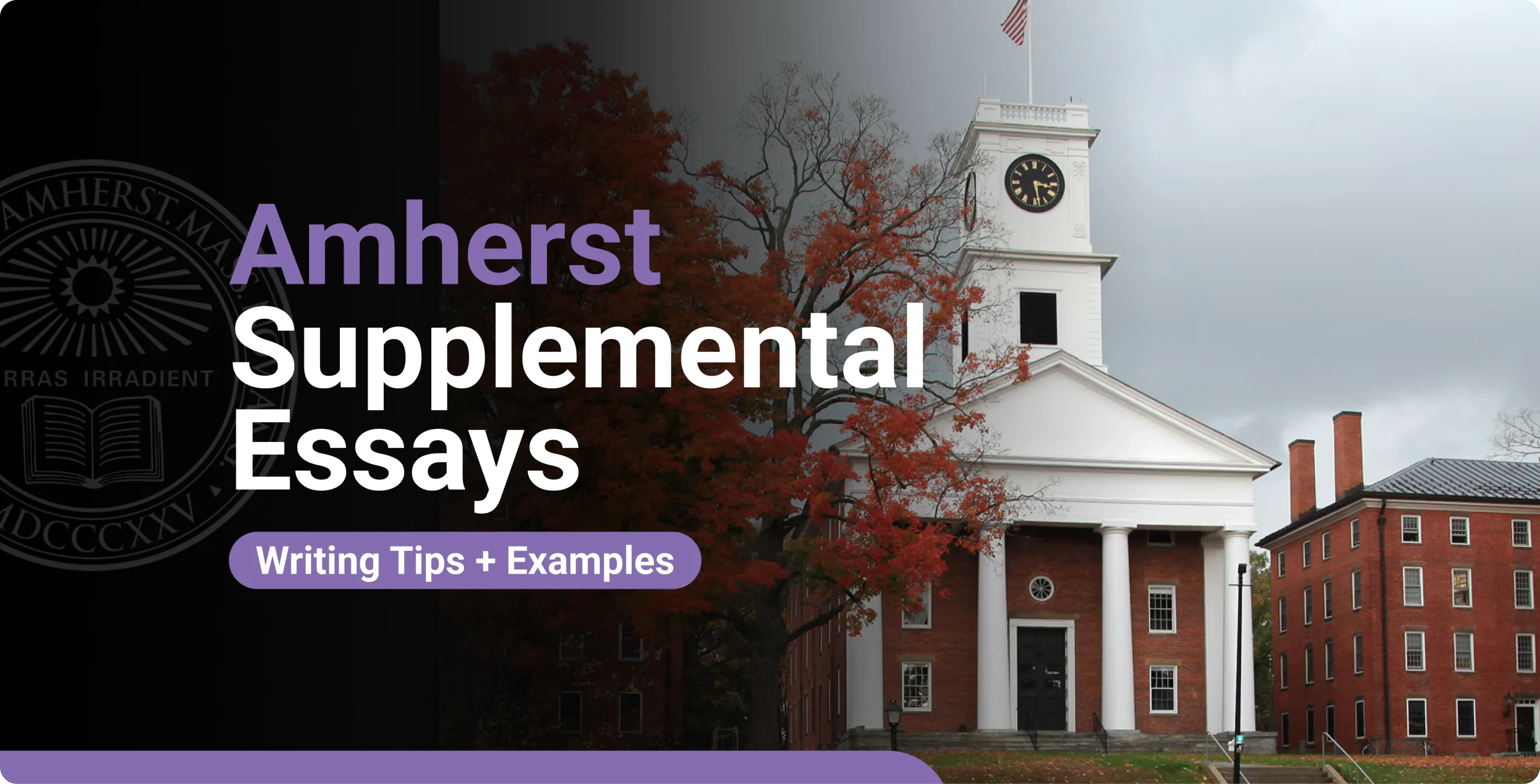 Amherst Supplemental Essays 2025-2026: Writing Tips + Examples ...