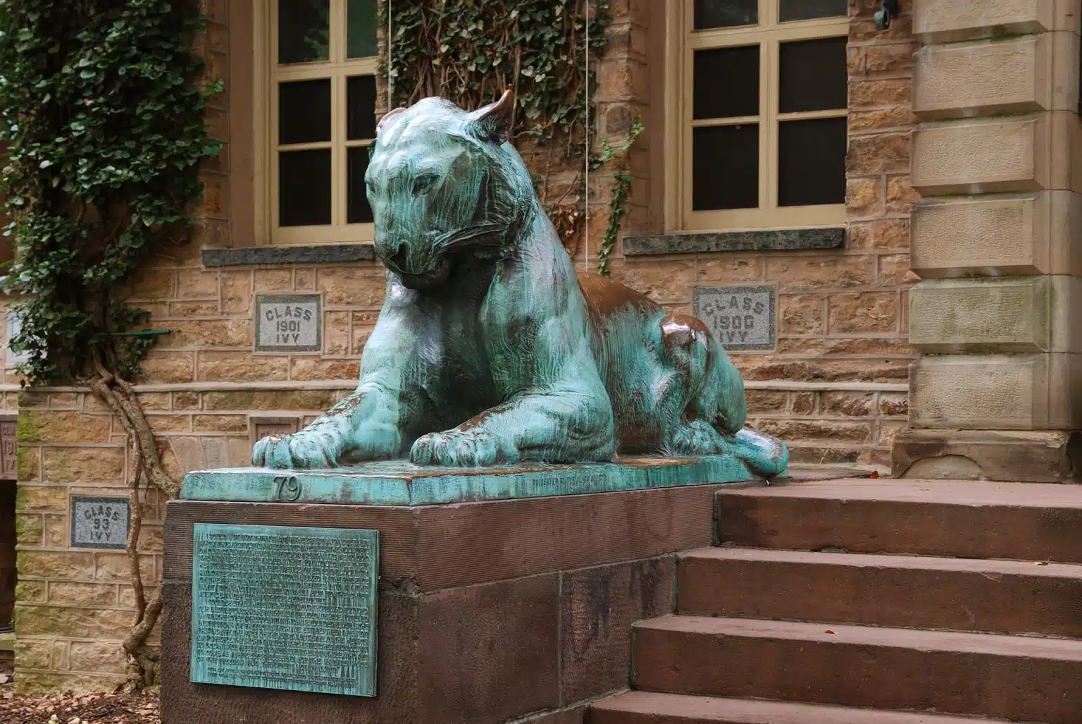 Is Princeton Test-Optional? Requirements + Tips | AdmissionSight