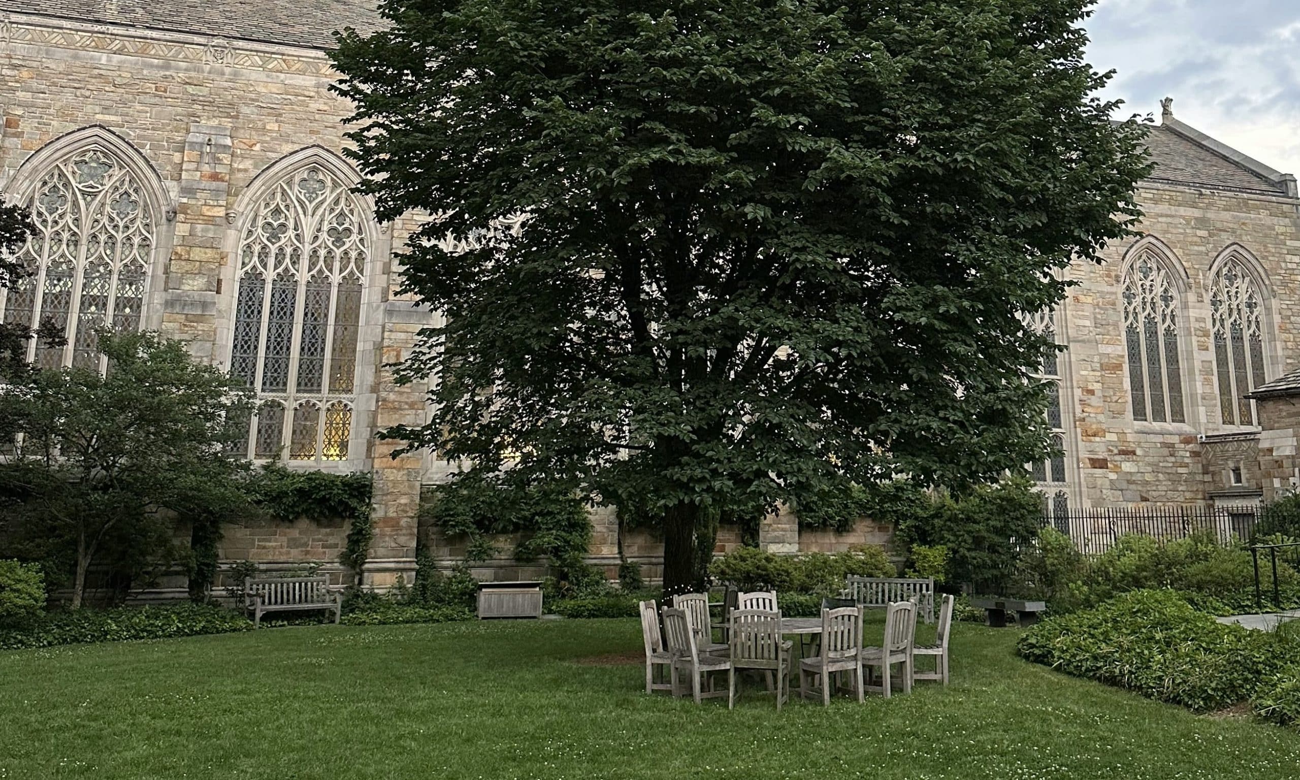 10 Most Popular Majors at Yale | AdmissionSight