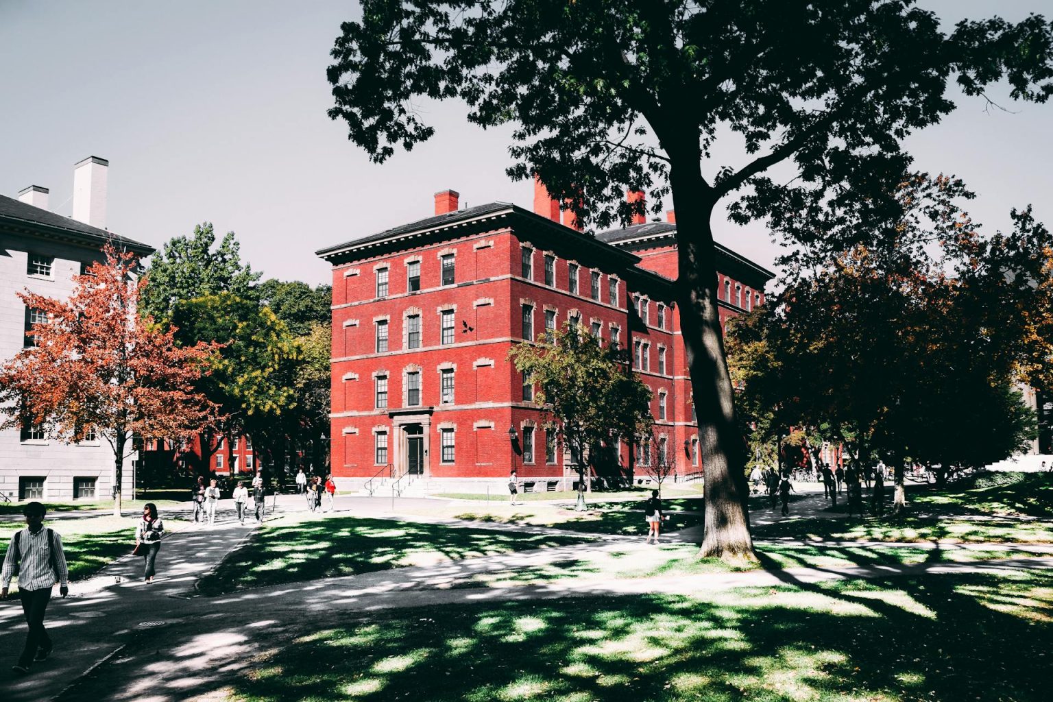 When Do College Decisions Come Out? All You Need to Know | AdmissionSight