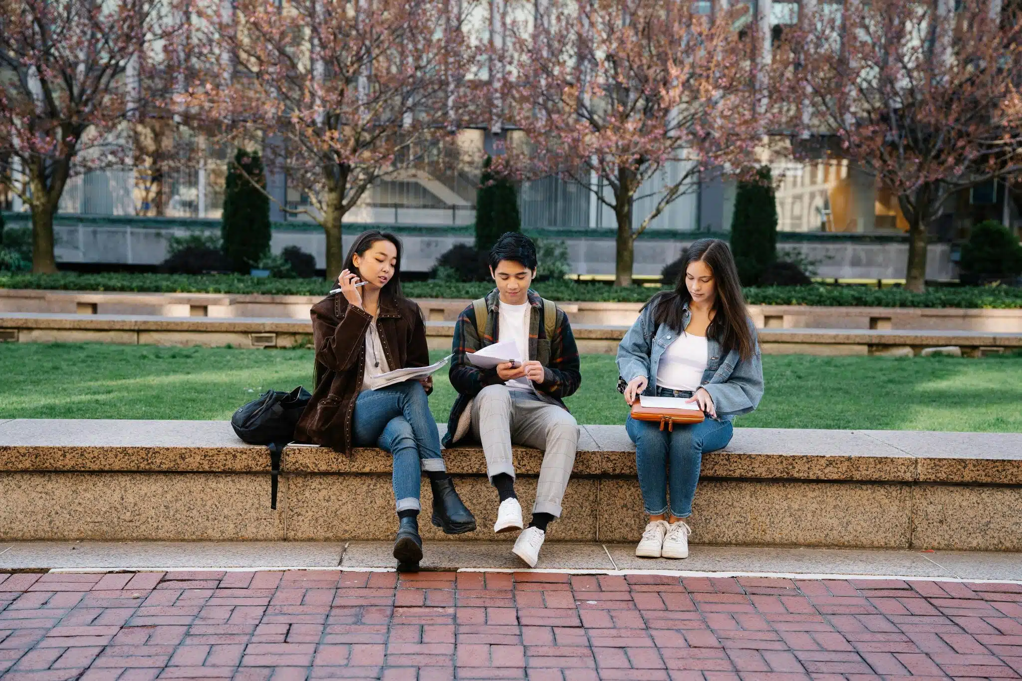 Ivy League Colleges: What They Are and What Sets Them Apart ...