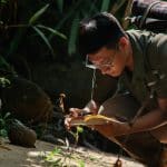 UCSB Research Mentorship Program (RMP): A Complete Guide | AdmissionSight